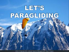 패러글라이딩 산업분석 (Let’s paragliding).ppt-1페이지