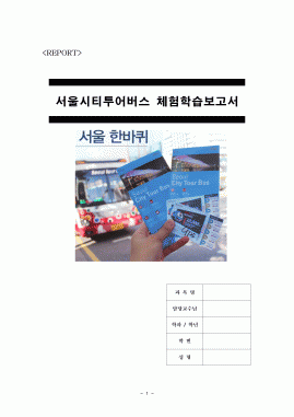 서울 시티투어 버스 체험 학습 보고서 (서울시티투어버스 이용후기)-1페이지