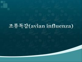 조류독감 (avian influenza).PPT자료-1페이지