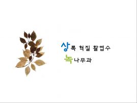 상록혁질활엽수녹나무과-1페이지