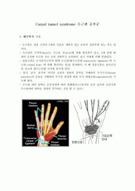 CTS : Carpal tunnel syndrome 수근관 증후군-1페이지