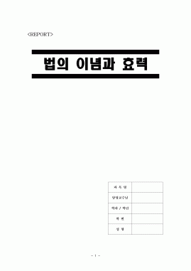 법의 이념과 효력 합목적성 법적 안정성 법 이념의 상호관계 법의 실질적효력 법의 형식적효력 시간적 장소적 인적 규범적타당성-1페이지