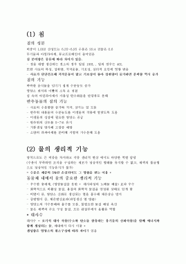 동물영양학 써머리-1페이지