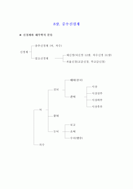 8장.중추신경계-1페이지