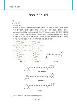 식물생리학 실험 4 색소-1페이지