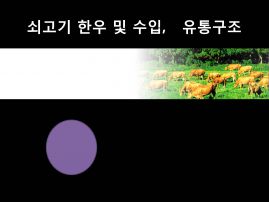 쇠고기 한우 및 수입, 유통구조-1페이지