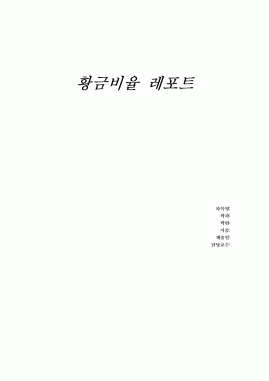 황금비율-1페이지