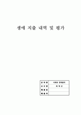 생애 지출 내역 및 평가-1페이지