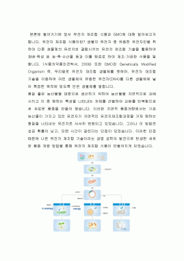 GMO 레포트-1페이지