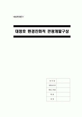 대청호 환경친화적 관광개발구상 - 관광환경분석 관광환경특징 지역특화발전특구 육성 문제점 및 개선방안 대청호 수질보전 지속가능한 관광개발 관광벨트 체류형관광 생태관광 농촌관광 체험관광-1페이지