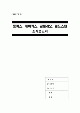 토파스, 애바카스, 갈릴레오, 월드스팬 조사보고서 토파즈 TOPAS 대한항공 아바쿠스 아시아나항공 갈리레오 ABACUS 트래블포트 CRS 항공사 내부시스템 항공사CRS 현황 GDS-1페이지