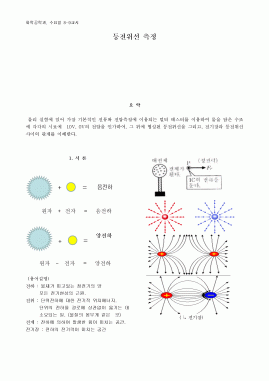 등전위선 측정 실험보고서-1페이지