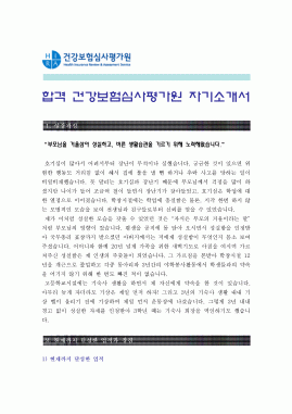 [2013건강보험심사평가원자기소개서] 최종합격 HIRA 건강보험심사평가원자기소개서_건강보험심사평가원자기소개서예문_건강보험심사평가원자기소개서샘플_심평원자소서-1페이지