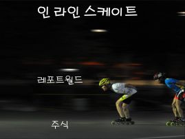 인라인_스케이트-1페이지