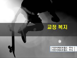 교정복지 개념 내용 제도-1페이지