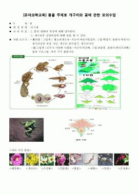 [유아과학교육] 봄을 주제로 개구리와 꽃에 관한 모의수업-1페이지