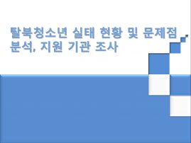 탈북청소년 실태 현황 및 문제점 분석, 지원 실제 기관 조사-1페이지