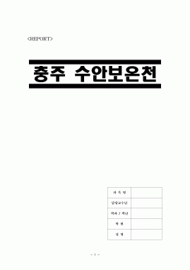 [관광자원개발사례조사] 충북 충주 수안보온천 수안보온천 역사 온천특징 현황 이미지 본질 가치분석 매력요인 관광객 잠재력 현재트렌드와의비교 침체원인 타온천사례 발전방안 활성화-1페이지