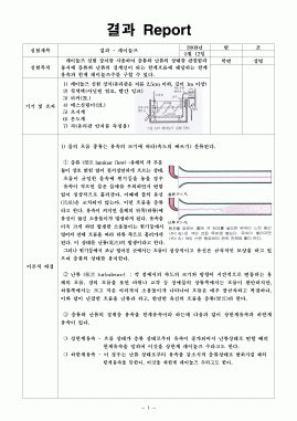 [결과]레이놀즈-1페이지