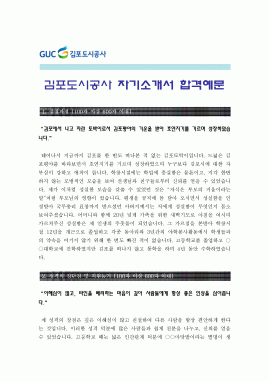 [2013김포도시공사자기소개서] 김포도시공사 자기소개서 합격예문+면접기출문제_김포도시공사자기소개서예문_김포도시공사자기소개서합격_김포도시공사자소서-1페이지