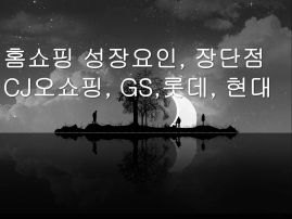 홈쇼핑 성장요인, 장단점 CJ오쇼핑, GS홈쇼핑, 롯데홈쇼핑, 현대홈쇼핑-1페이지