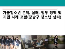 가출청소년 문제, 실태, 정부 정책 및 기관 사례 (강남구 청소년 쉼터)-1페이지