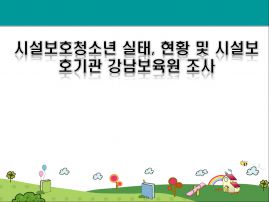 시설보호청소년 실태, 현황 및 시설보호기관 강남보육원 조사 -1페이지
