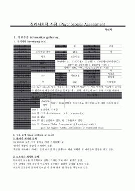 [정신보건과제] 심리사회적 사정 (Psychosocial Assessment)-1페이지