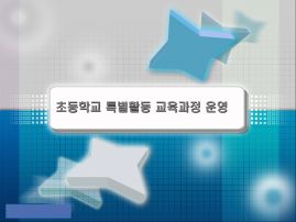 초등학교 특별활동 교육과정 운영 -1페이지