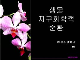 생물 지구화학적 순환.PPT자료-1페이지