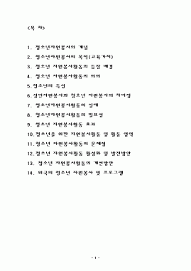 청소년 자원봉사활동 보고서(특성, 배경, 성인과의차이, 외국사례등)-1페이지