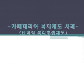 카페테리아 복지제도 사례 - 선택적 복리후생제도.ppt-1페이지