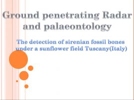 고생물학-레이더탐사 Ground penetrating Radar and palaeontology - The detection of sirenian fossil bones under a sunflower field Tuscany(Italy).PPT자료-1페이지