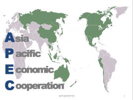 APEC (Asia Pacific Economic Cooperation) (APEC 특성, 원칙 , 목표, 규범, 영향, 기업사례).PPT자료-1페이지