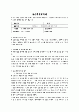 [사이버대학] 실습종결평가서 -1페이지