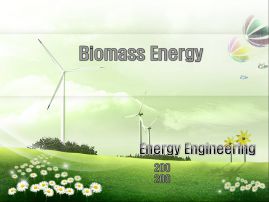 [Energy Engineering] Biomass Energy(바이오매스 에너지).PPT자료-1페이지