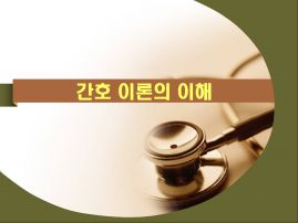 간호 이론의 이해 -1페이지