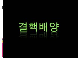 [의학과][진단검사의학과] 결핵배양-1페이지