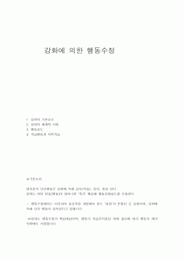 강화에 의한 행동수정-1페이지