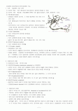 제2장 신경과학과 행동 - 신경계의 정보전달과 중추신경계의 기능-1페이지