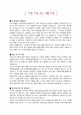 KCC건설 합격자기소개서 4개-1페이지