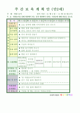 법인 어린이집 평가인증 통과한 만2세 11월 우리동네 보육일지-1페이지