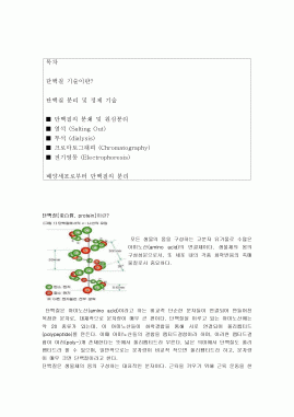 단백질분리및정제기술에대하여-1페이지