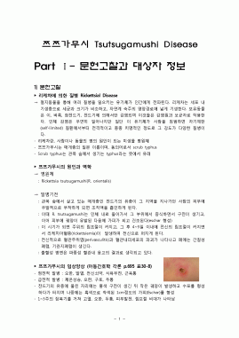 [간호학 임상 CASE] 쯔쯔가무시 (Tsutsugamushi Disease)-1페이지