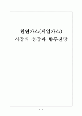 [천연가스] 천연가스(셰일가스) 시장의 성장과 향후전망 보고서-1페이지