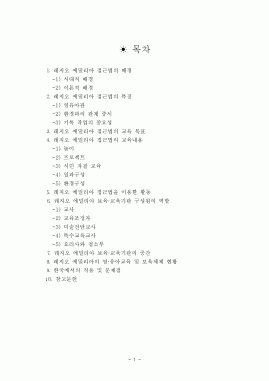 보육과정-레지오 에밀리아 접근법 -1페이지