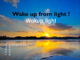 벤처창업 및 경영 수업 과제 사업 아이디어 : wake up light (알람 대신 빛으로 잠을 깨우는 것).ppt-1페이지