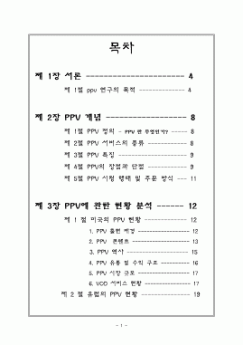 [비즈니스/경제] PPV-1페이지