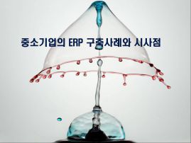 중소기업의 ERP 구축사례와 시사점-1페이지