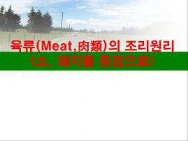 육류(Meat/肉類)의 조리원리(소, 돼지를 중점으로).ppt-1페이지